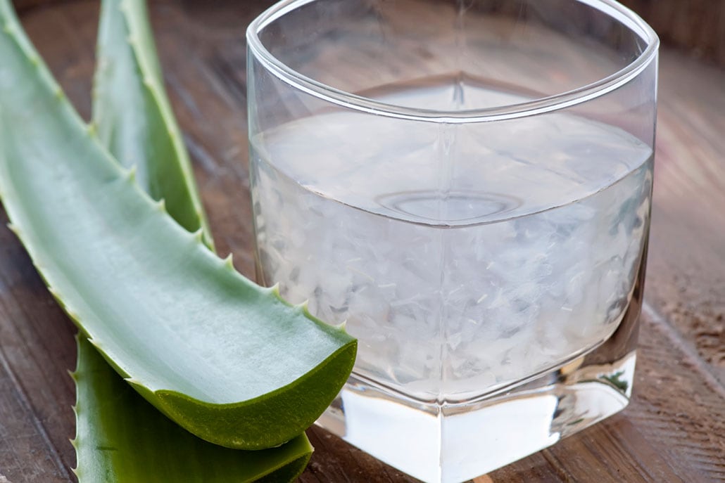 13 Impressive Aloe Ferox Benefits - Healthy Huemans
